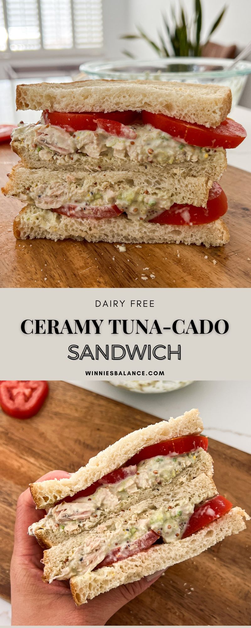 Creamy Tuna-cado Sandwich - Winnie Kison