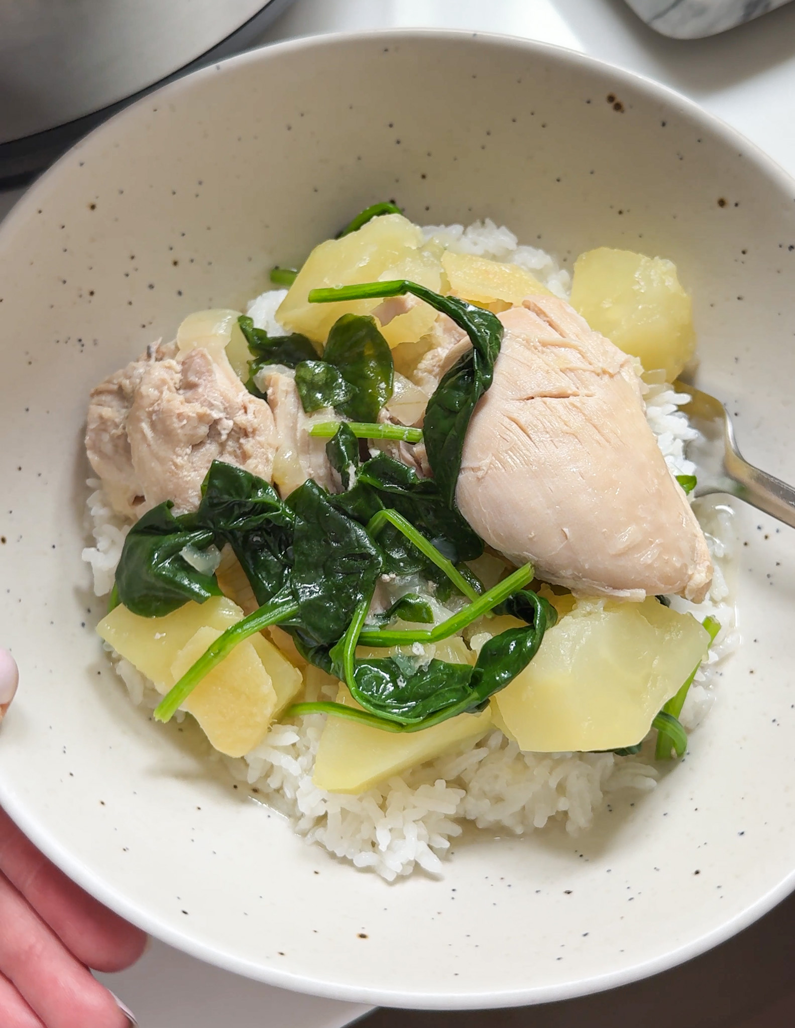 Instant Pot Tinola (Filipino Chicken Soup) - Winnie Kison