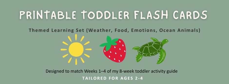 Printable Toddler Flash Cards | Weeks 1–4 Themed Learning Set (Weather ...