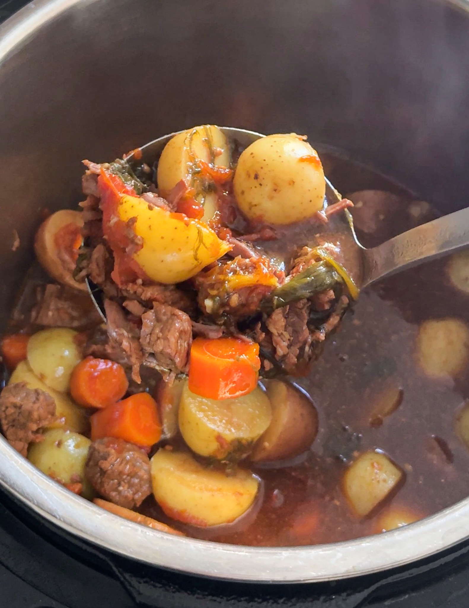 Instant Pot Chinese Beef Stew (Hong Kong Style) - Winnie Kison